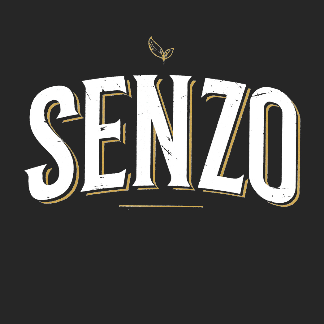 Senzo Logo